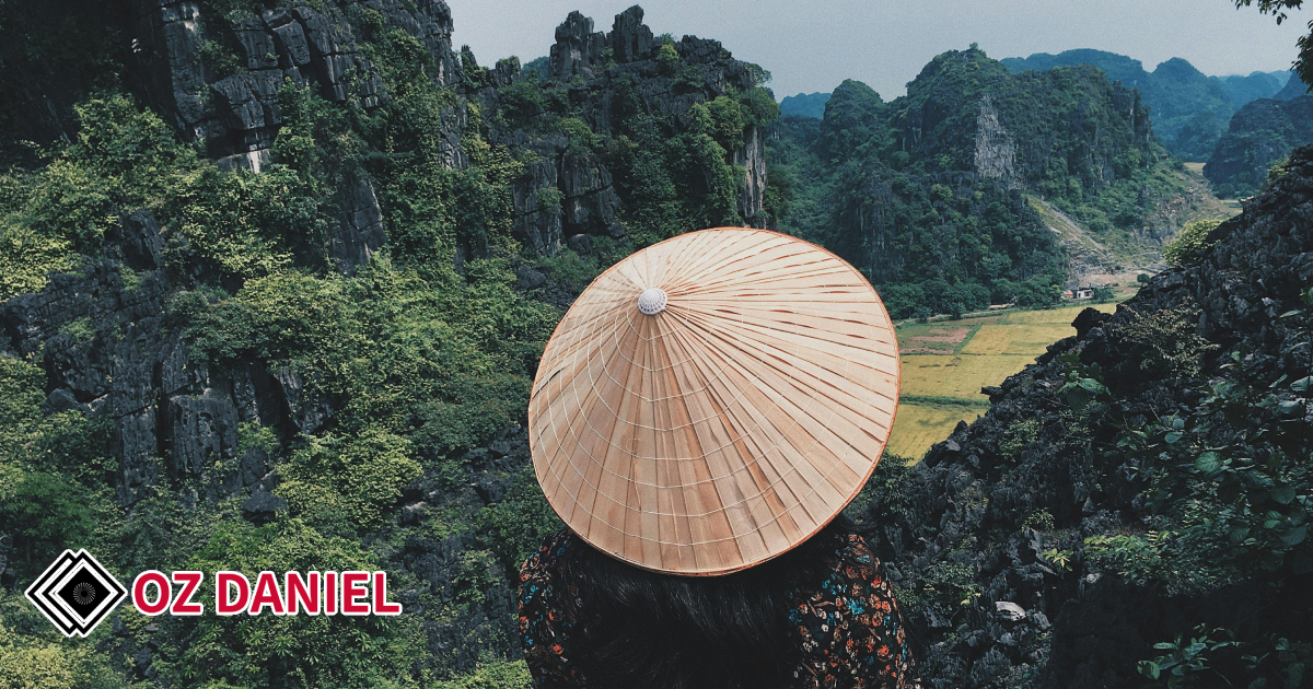 Vietnam Visa Expert for Travel Agencies - Oz Daniel